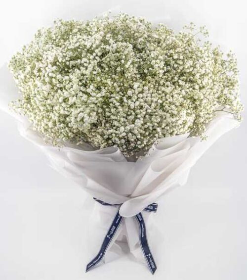 Tổng hợp 25 mẫu bó hoa bi trắng đẹp nhất | Shop hoa 7F Garden